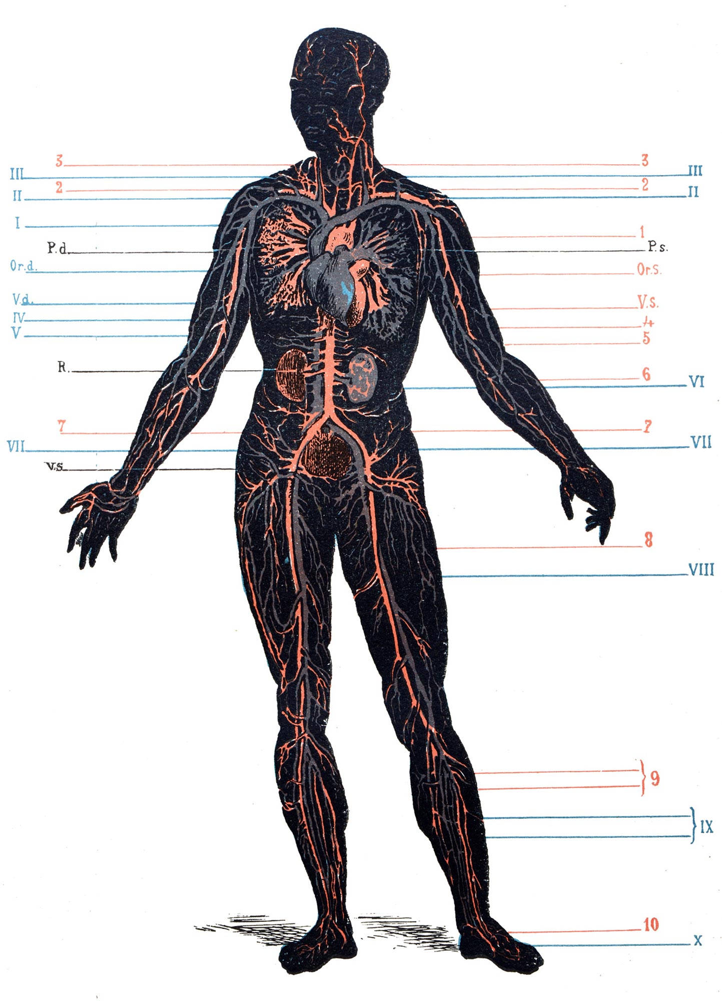 Contact – Movement Science Made Simple